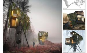 Tree House Competition